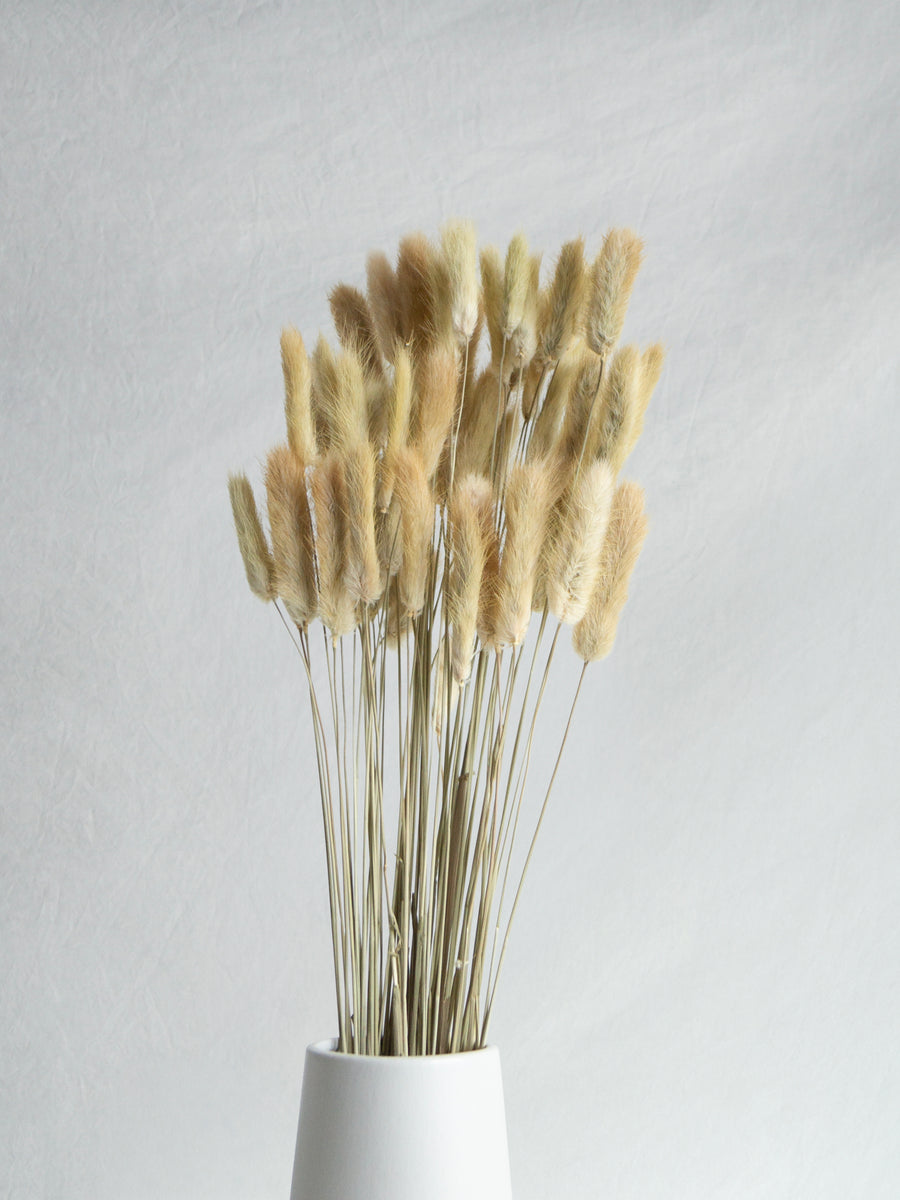 Bunny Tails - Natural – Wandering Willow NZ