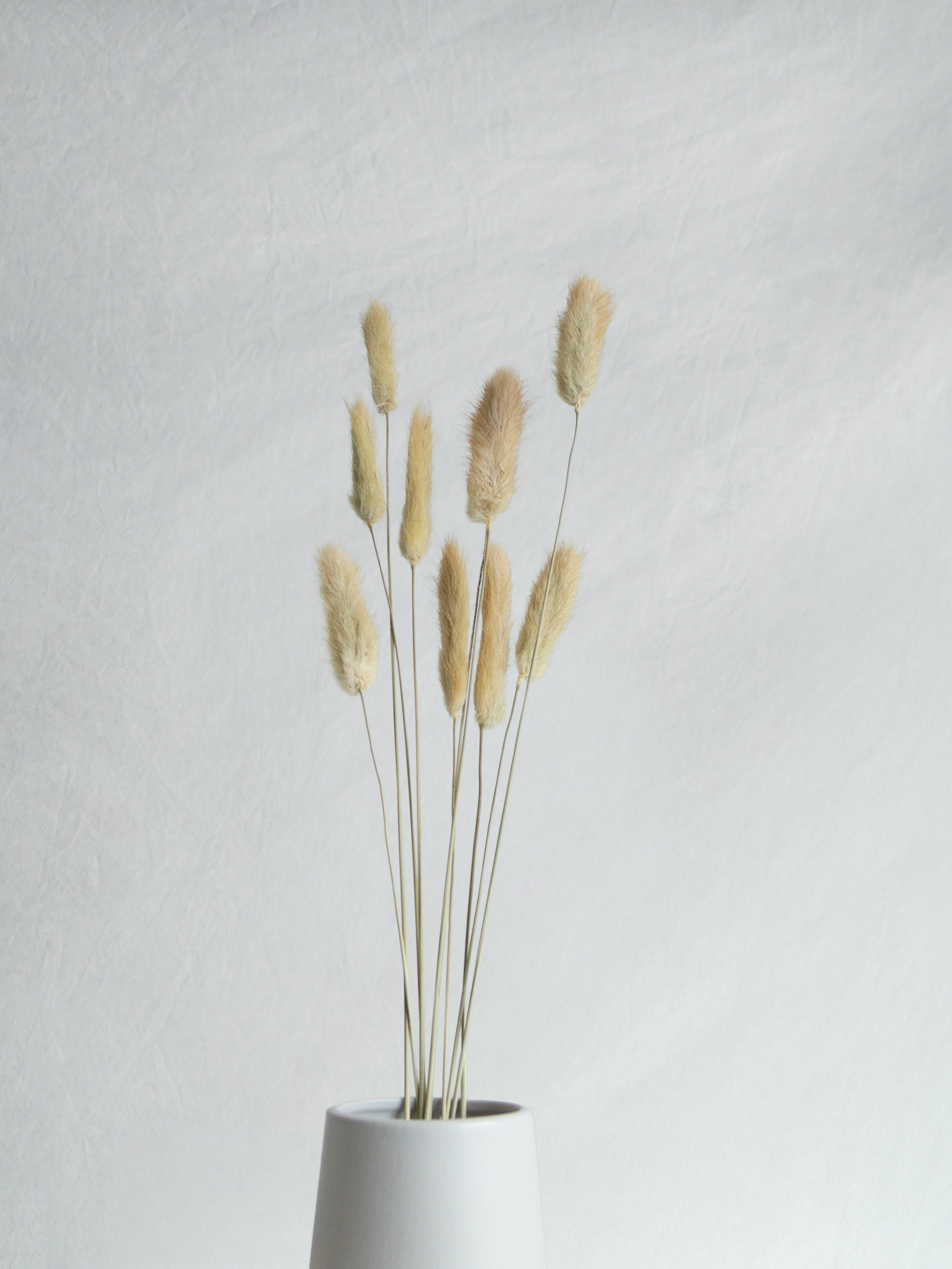 Bunny Tails - Natural – Wandering Willow NZ